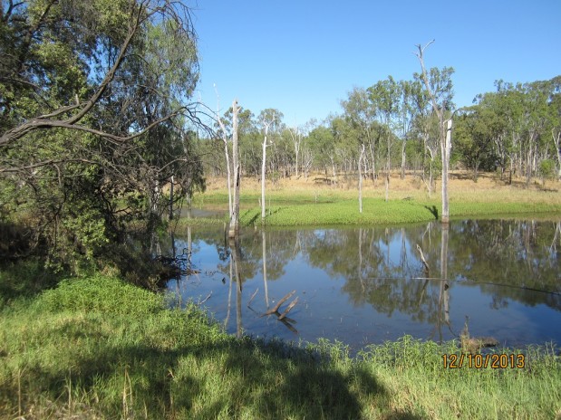 Day 10: Moonlight Dam, Homevale National Park