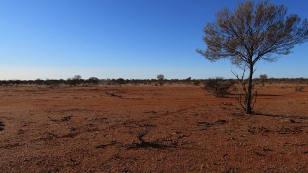 Coalseam National Park