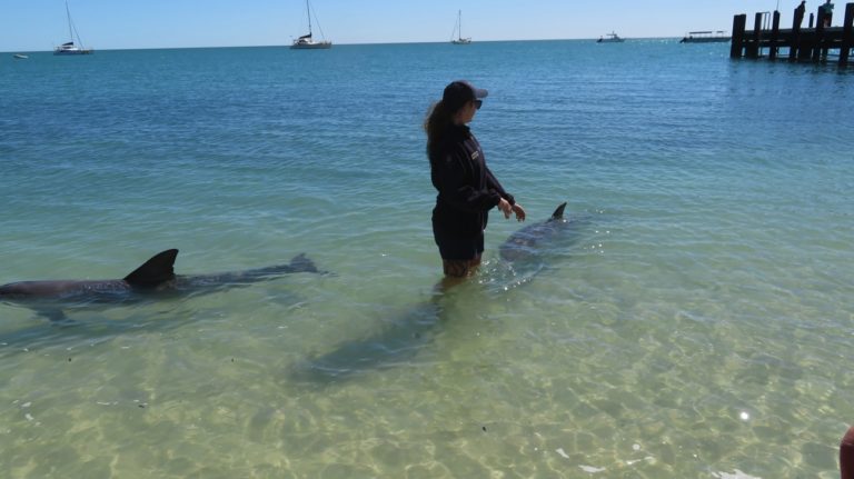 Shark Bay