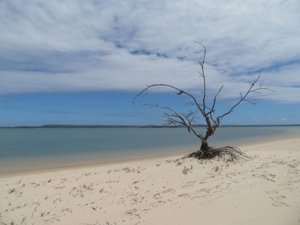 East Arnhem Land photos - Bawaka, Banialya